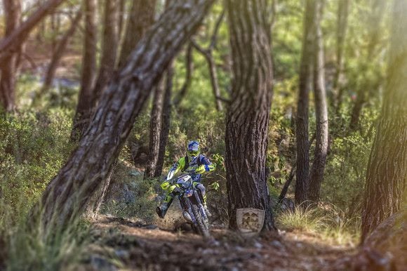 Wade Young Wins Forest Race of 2016 Sea To Sky | Dirt Rider