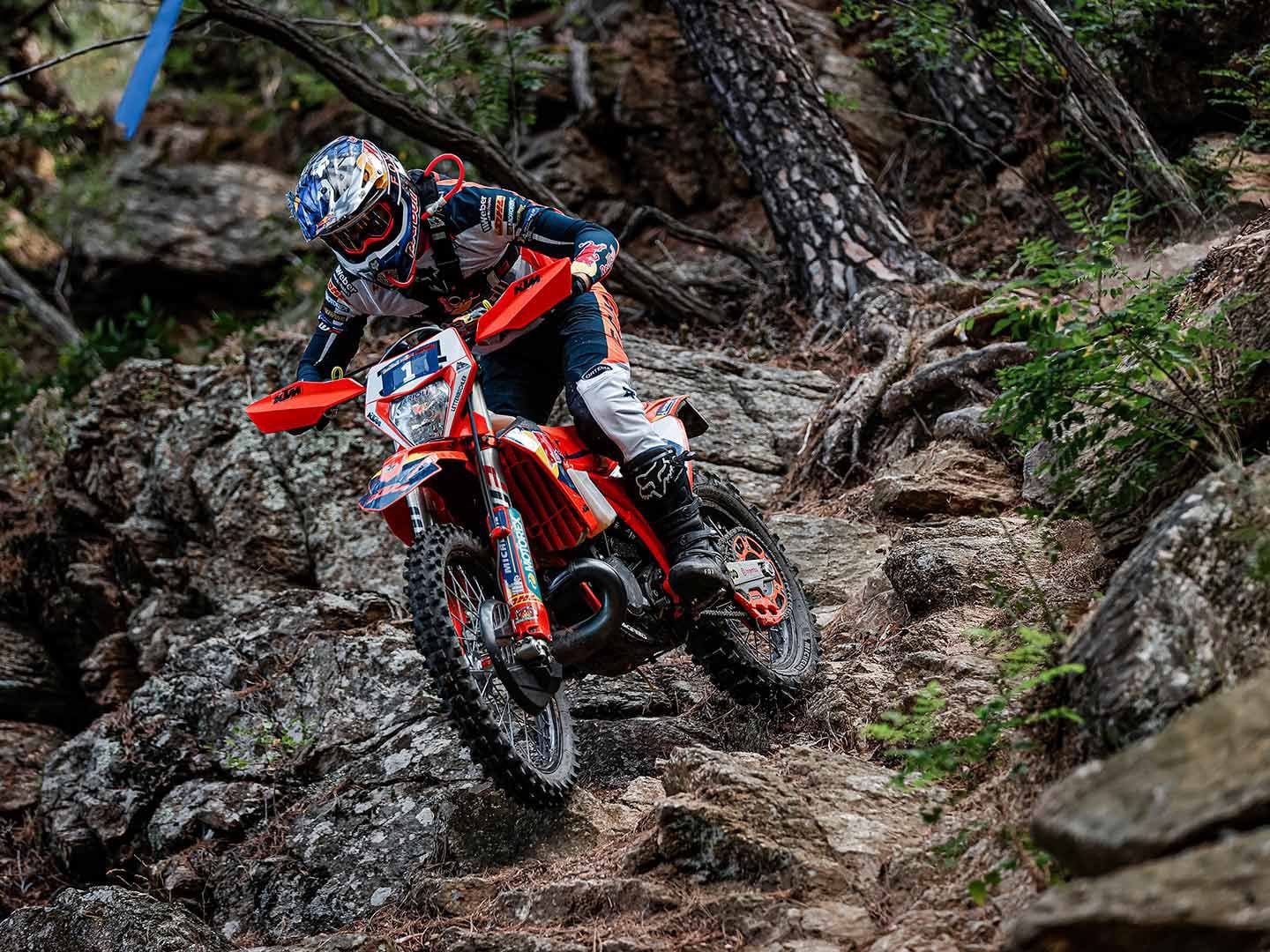 2025 FIM Hard Enduro World Championship Canceled | Dirt Rider