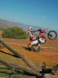 2010 BMW G450X, 2010 KTM 450 EXC, & 2010 Husqvarna TE 450 - Dirt Rider Magazine | Dirt Rider